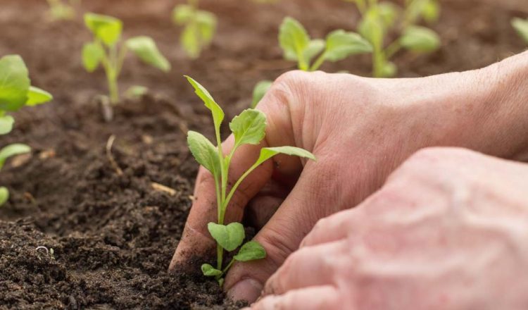 Traction Aids – Agriculture Engineering